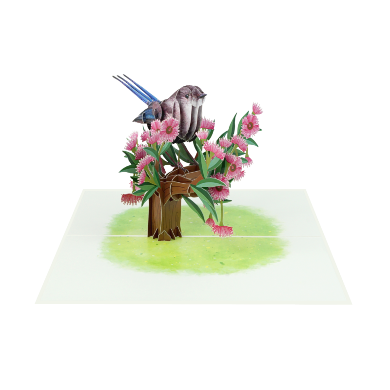 Bird Splendid Fairywren Pop-Up Card – Kiriori Popup Cards