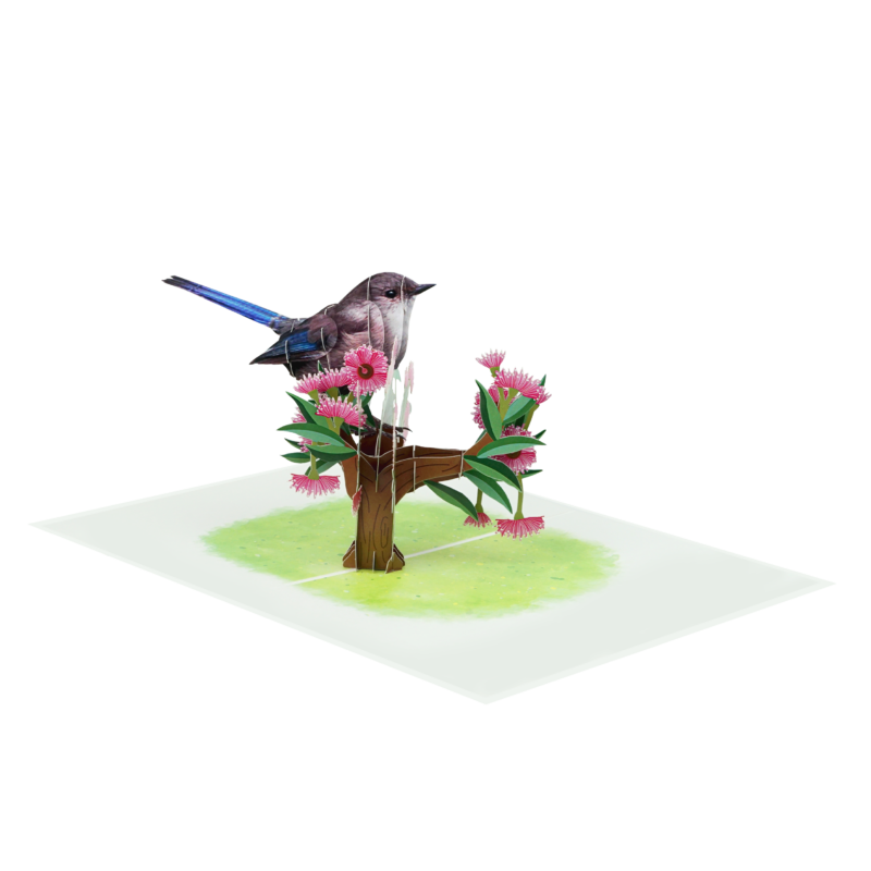 Bird Splendid Fairywren Pop-Up Card – Kiriori Popup Cards