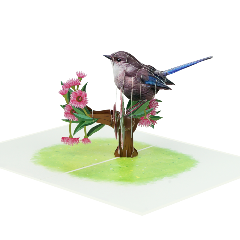 Bird Splendid Fairywren Pop-Up Card – Kiriori Popup Cards