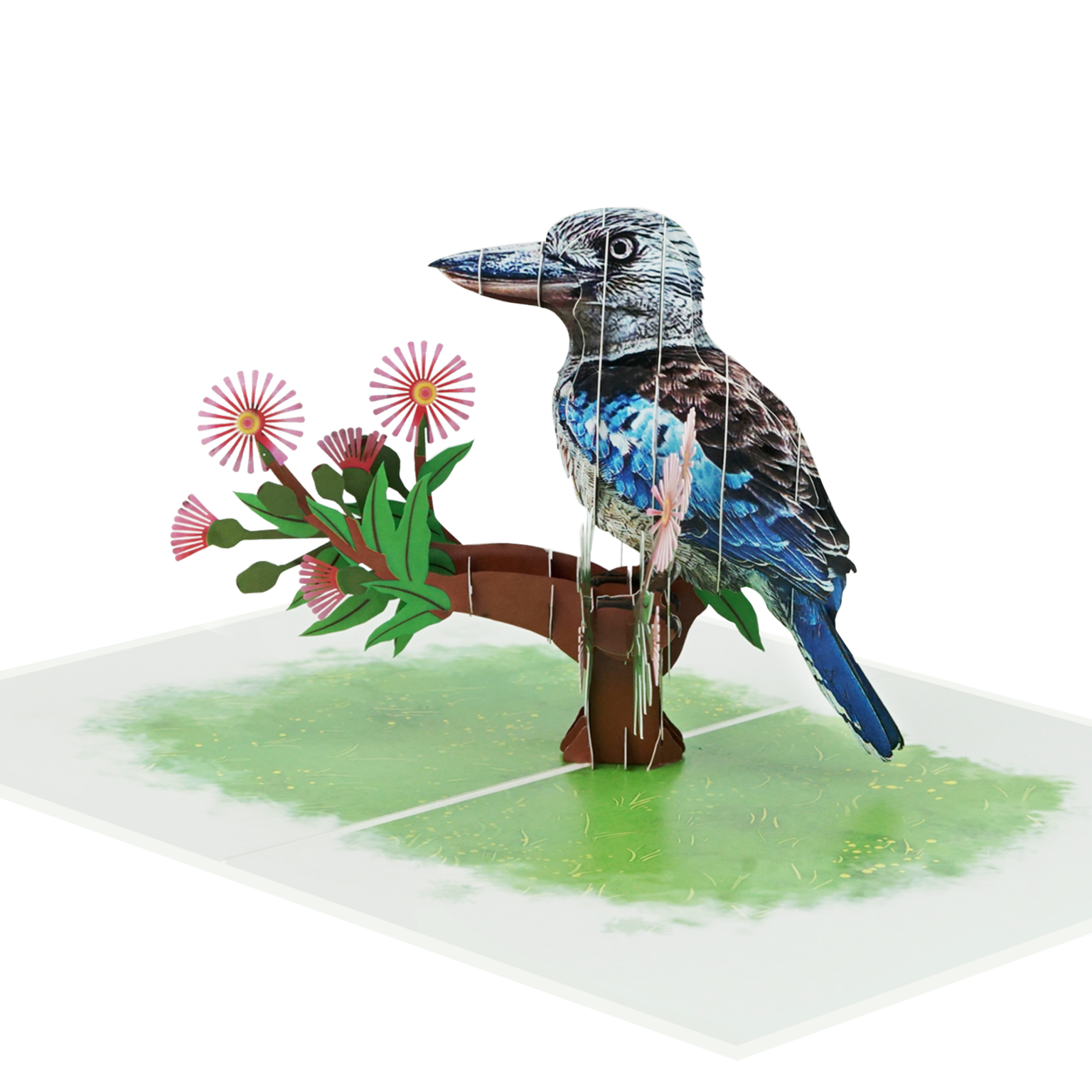 Bird Kookaburras Pop-Up Card – Kiriori Popup Cards
