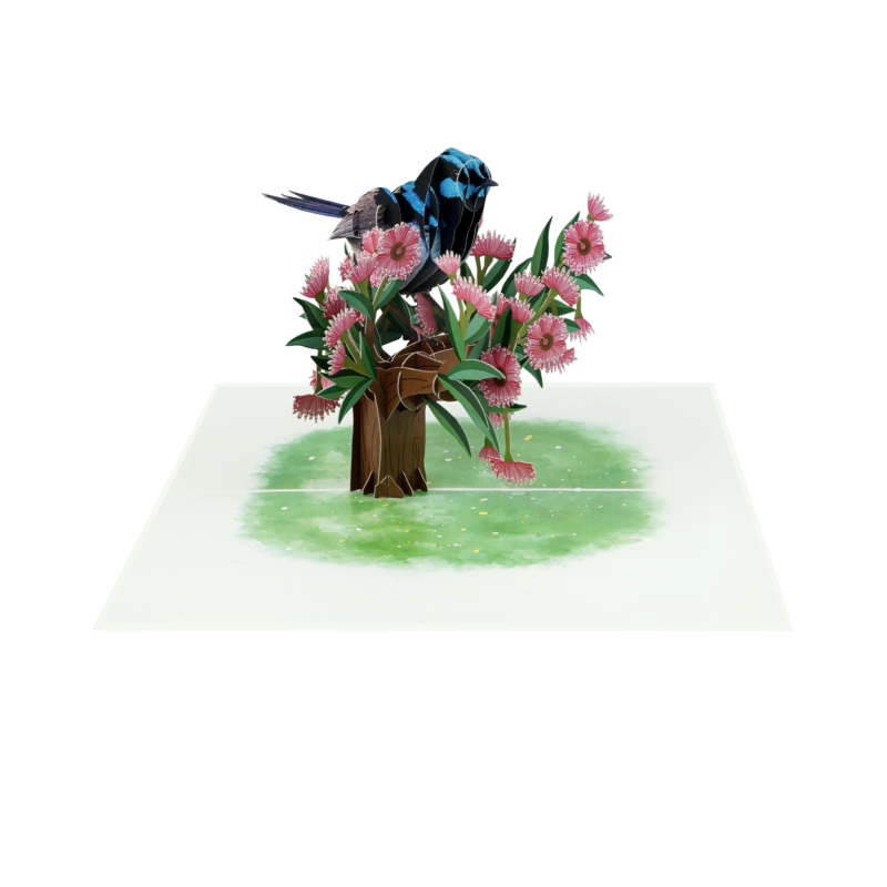 Bird Superb Fairywren Pop-Up Card – Kiriori Popup Cards