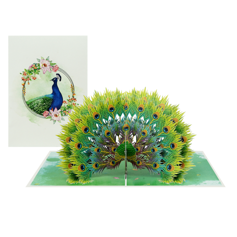 Peacock Pop-Up Card – Kiriori Popup Cards